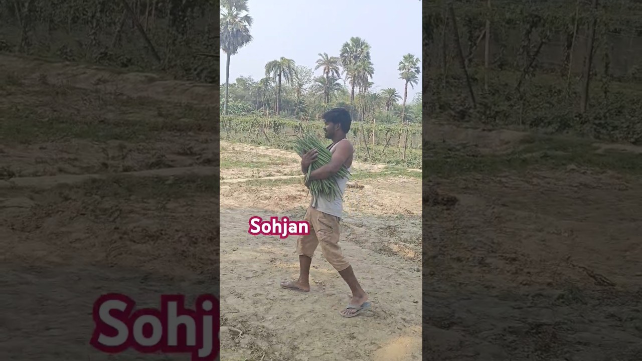 apne ped ka sohjan - YouTube
