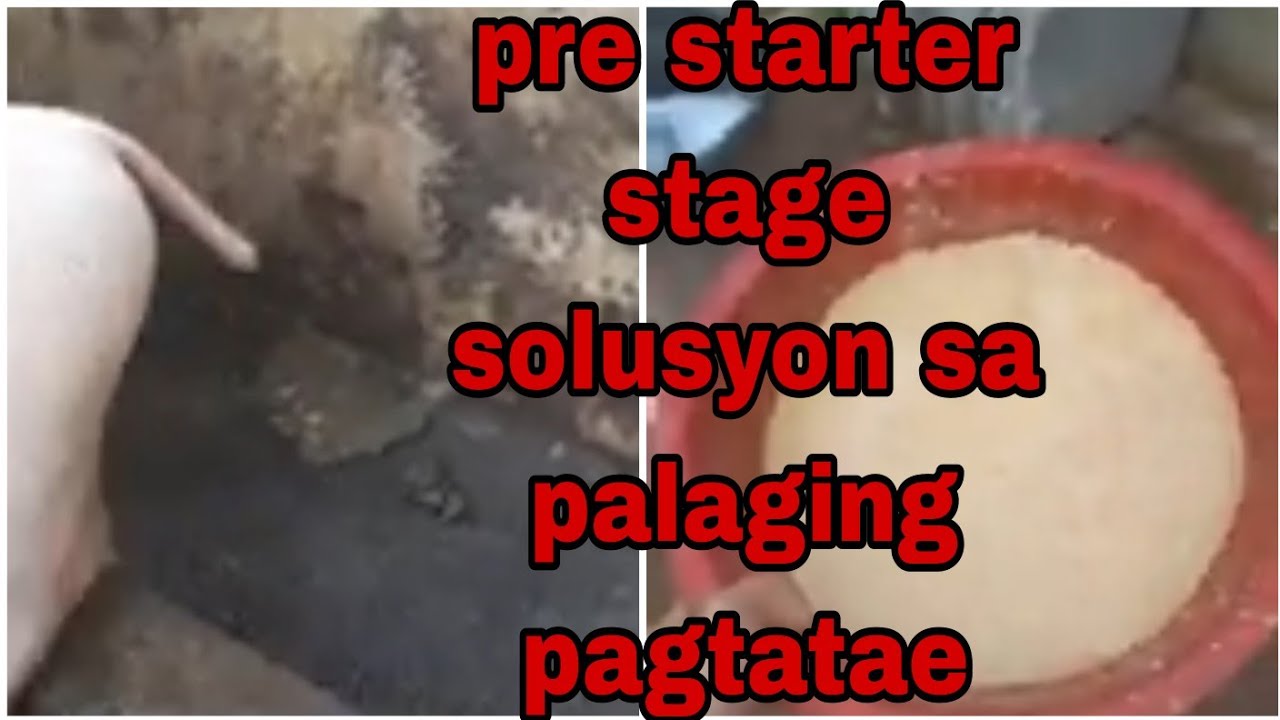gamot sa nag tatae na biik ito ang solusyon ko pre starter stage palang ...