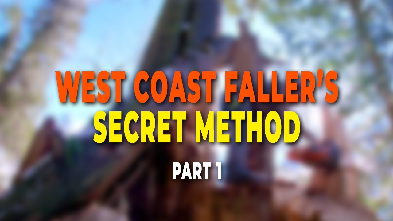 72. Two Big Cedar Trees Grown Together at the Butt - YouTube