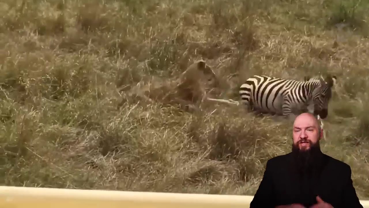Damn Nature You Scary | Rare & Scary Animal Encounters 😱 - YouTube