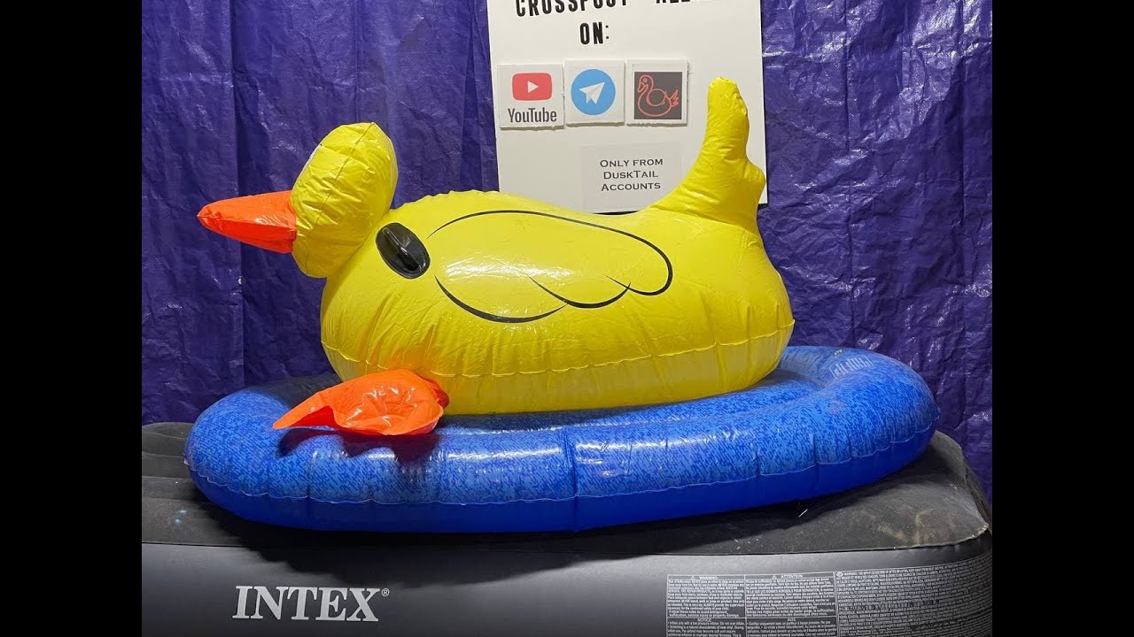 Poke Popping Inflatable Duck Wave Rider - YouTube