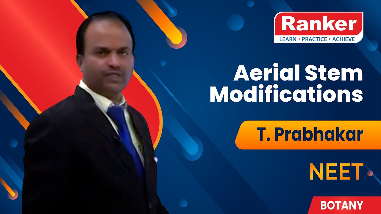 Structural Organization in Plants | Vegetative Stem | Aerial Stem ...