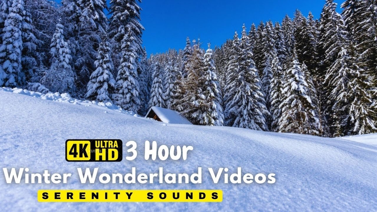 Winter 4K Relaxation Film | Meditation Relaxing Music | Winter Nature ...