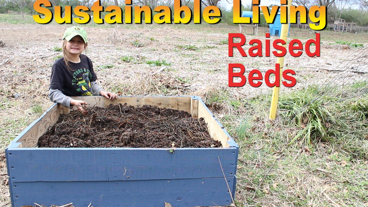 Sustainable Living Live Stream Raised Beds!!! - YouTube