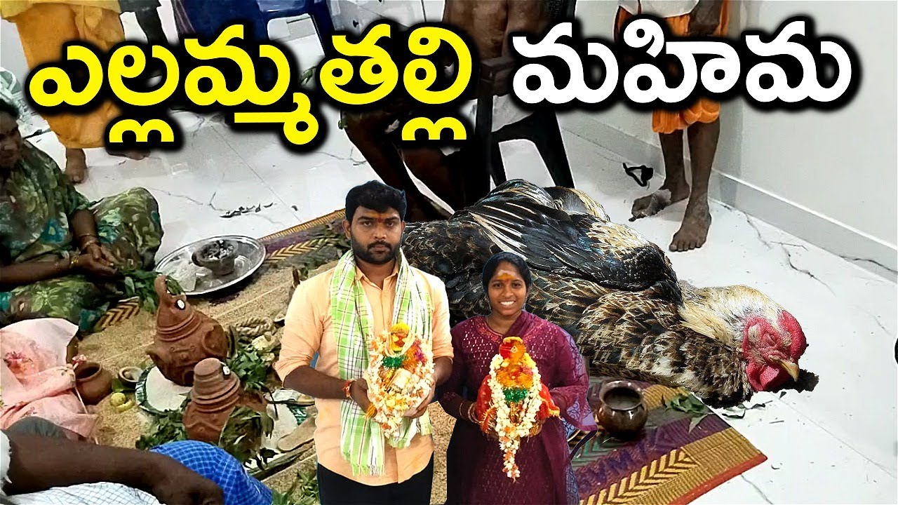 30 నిముషాల వరకు కోడి కదలకుండా అలానే ఉంది నాకు అయితే చాలా వింత గా ...