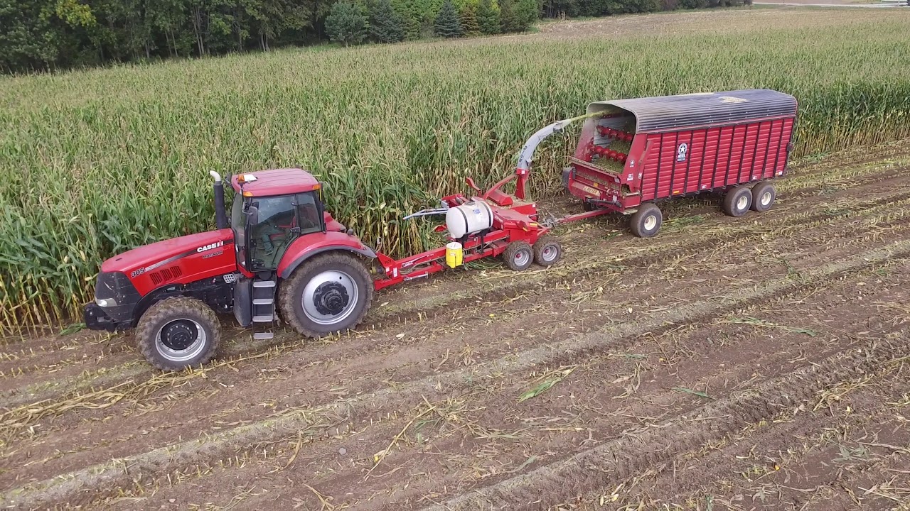 Corn silage harvest with Dion F41KP harvester in Southeastern Wisconsin ...