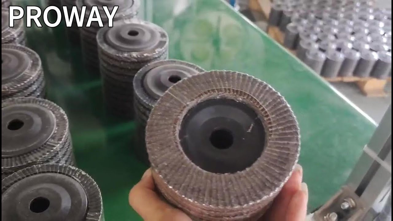 PROWAY Flap disc packing machine.High efficiency and stable running ...