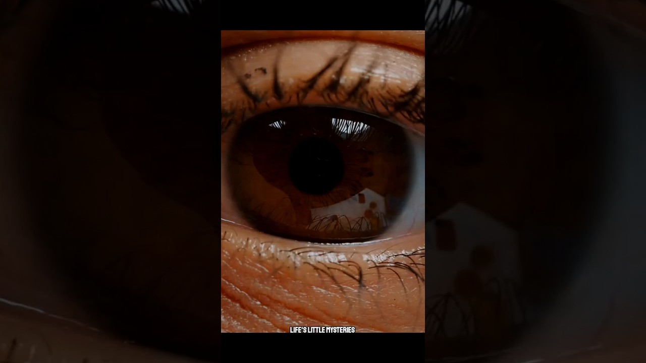 The Human Eye: A 576 Megapixel Camera🤯📸 #facts #humanfact - YouTube