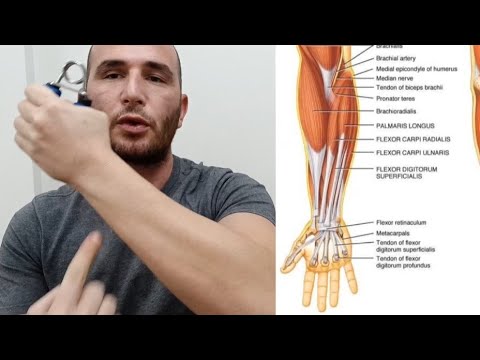 El Yayı Nedir ? Ne İşe Yarar ?