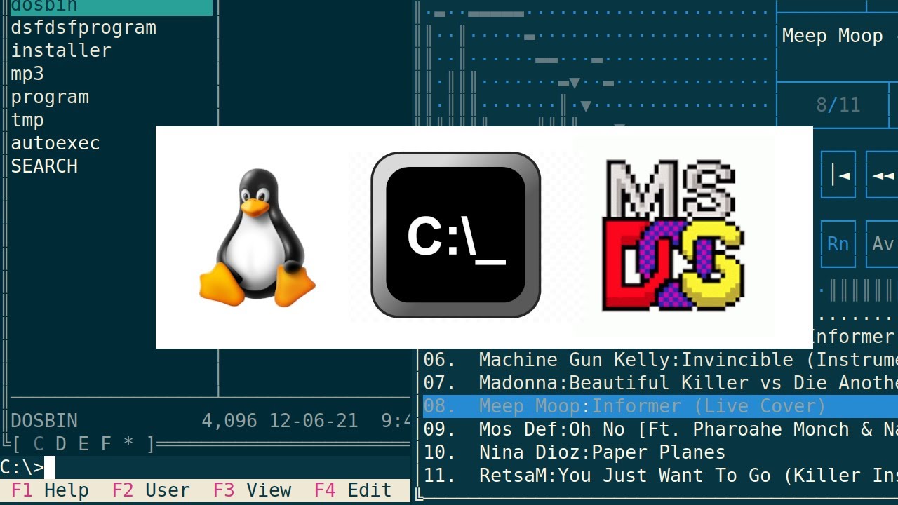 dosemu2 - DOSEMU run DOS programs under Linux #DOScember #DOSember ...