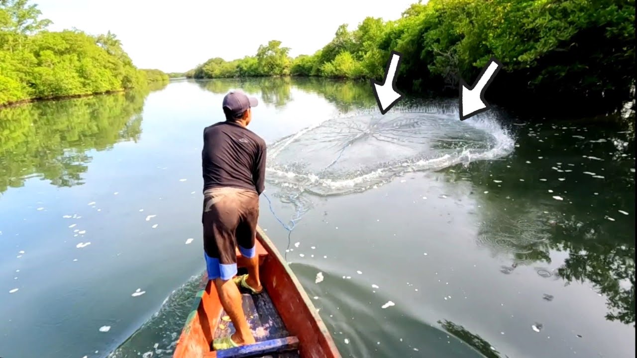 chelo lanzó la atarraya y miren la sorpresa que se llevó cuando sacó la ...