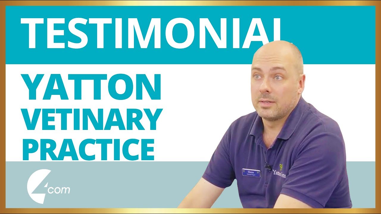4Com Case Study: Yatton Vets - YouTube