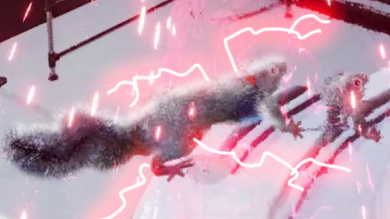 Squirrel With A Gun (Force Field Electrocution) - YouTube