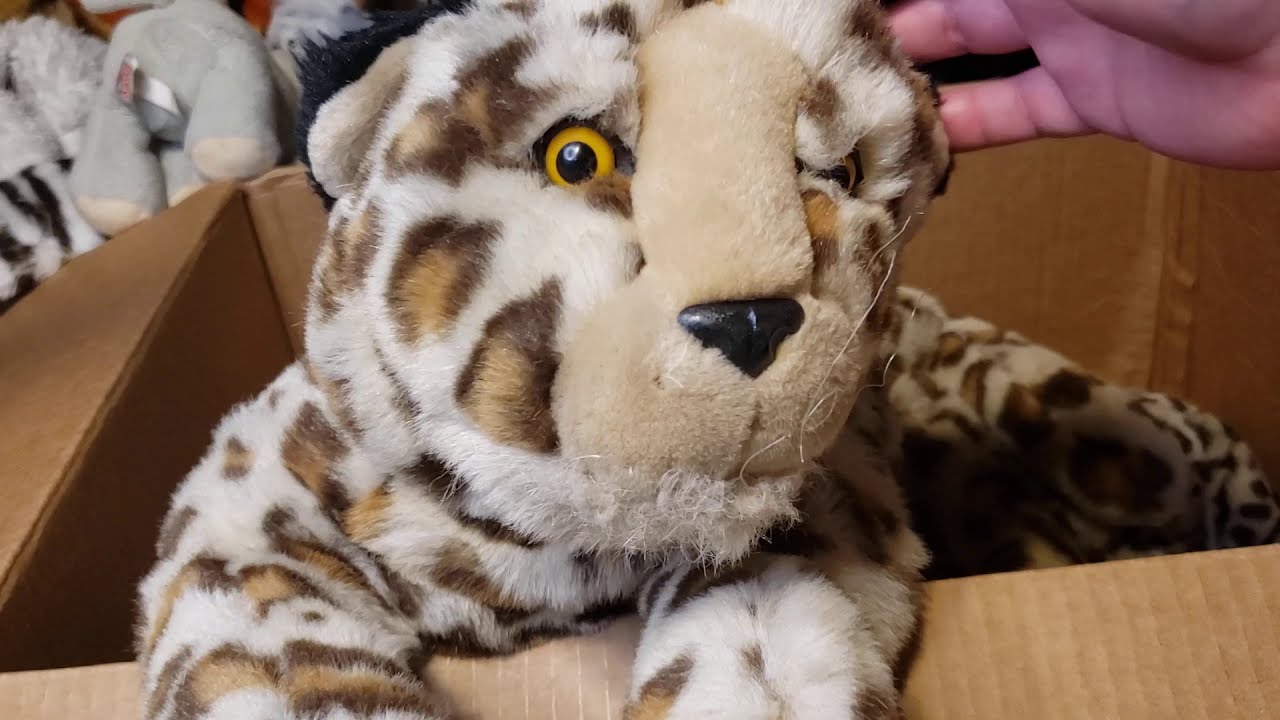 Unboxing a Bunch of Plushies including Webkinz and Other Brands - YouTube
