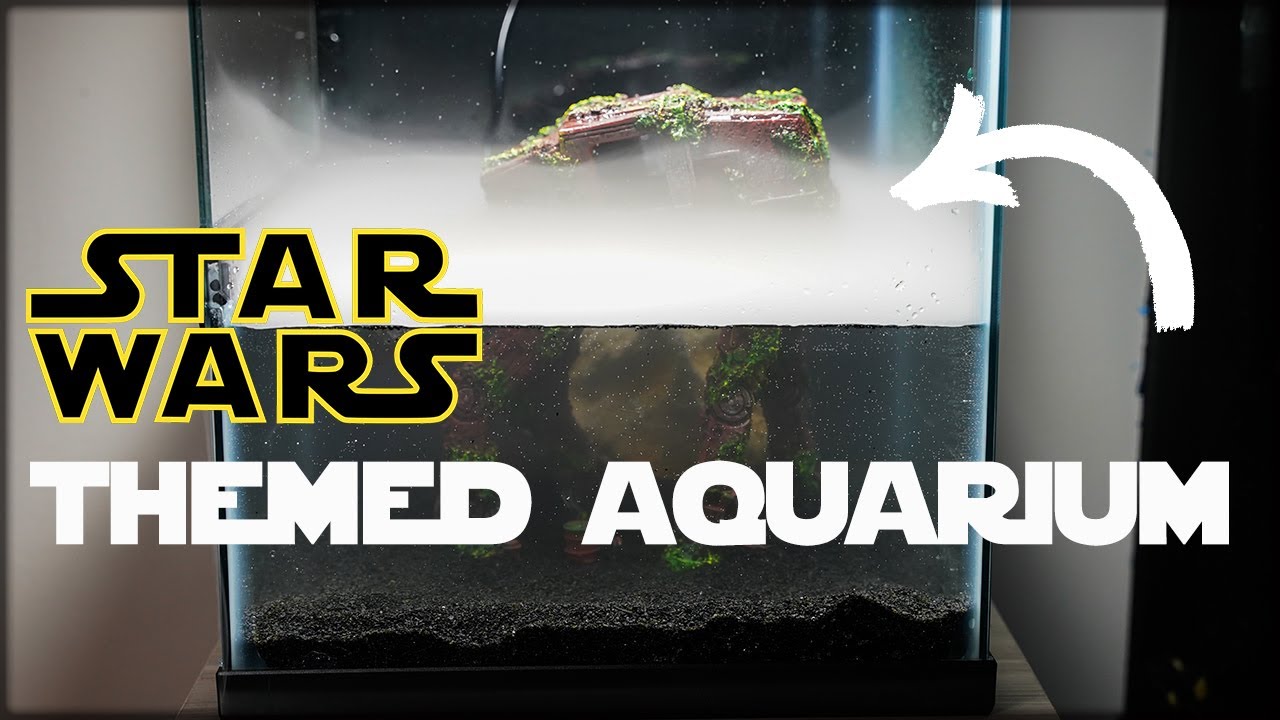Star Wars Themed Aquarium - YouTube