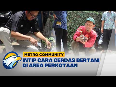 Metro Community - Lahan Sempit Bisa Panen Sayur! Komunitas KORAL Ajarkan Urban Farming