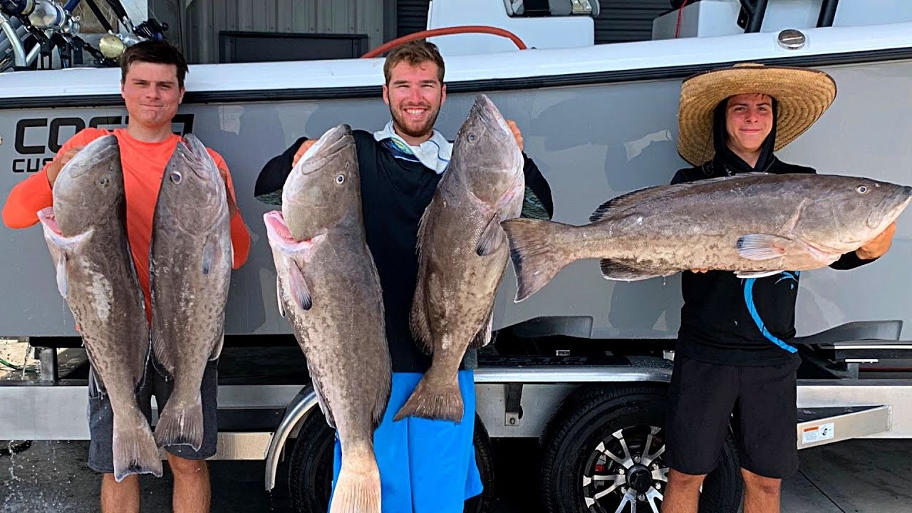 GIANT! Gag Groupers Caught Deep Sea Fishing On A Costa 264 (Limited Out ...