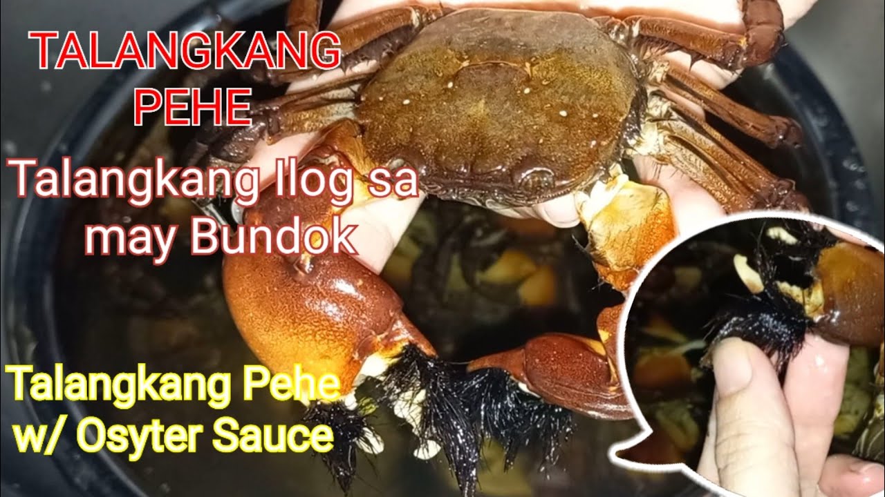 TALANGKANG PEHE IN OYSTER SAUCE | PEHE SA ILOG SA GAWING BUNDOK #foodie ...