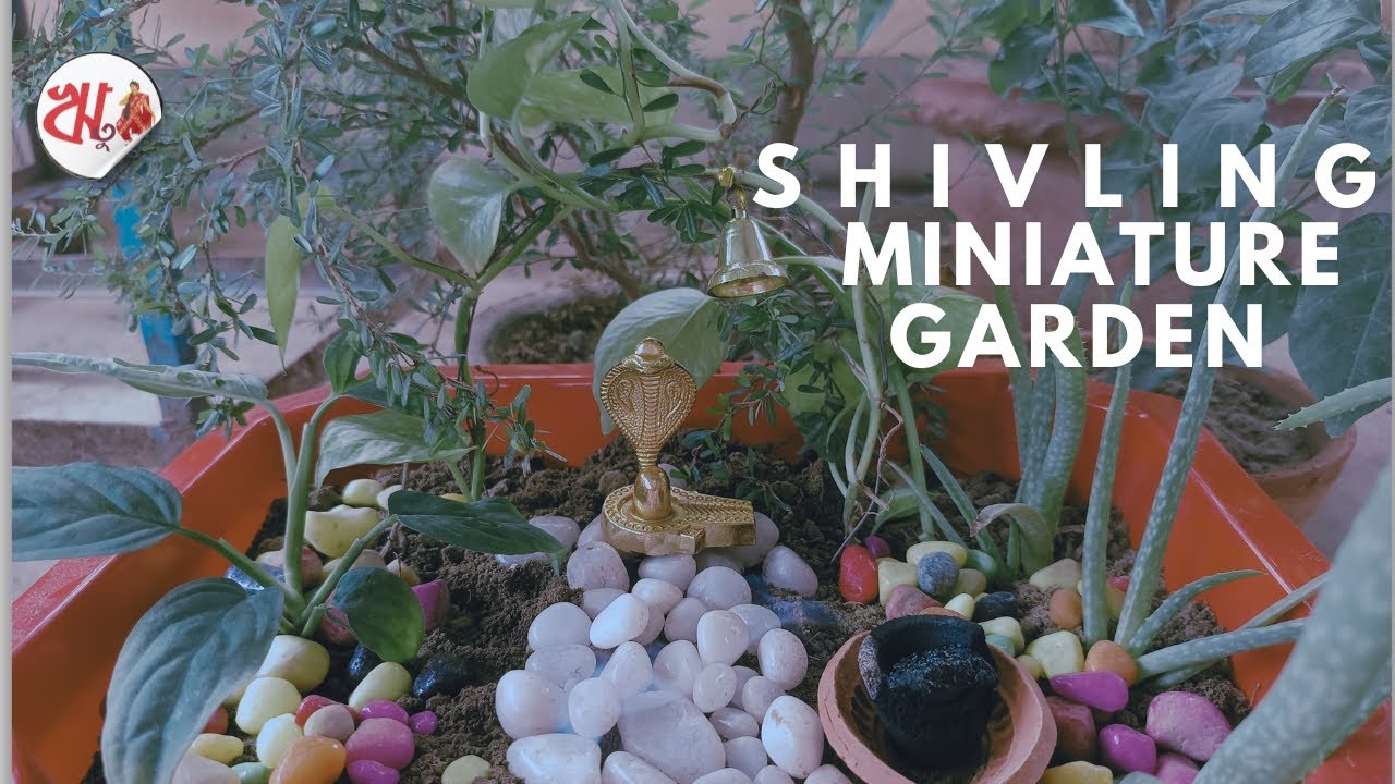 How to Create a Stunning Miniature Shiva Garden | DIY Mini Garden - YouTube