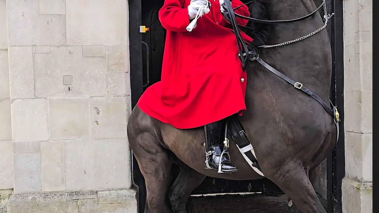 Skilled Horsemanship Calms Agitated Horse at Horse Guards, London - YouTube