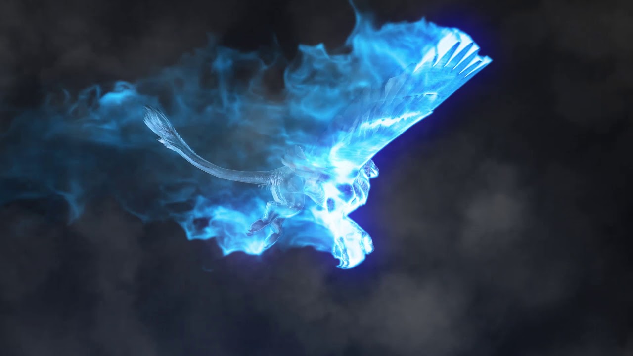 Eagle Intro - YouTube