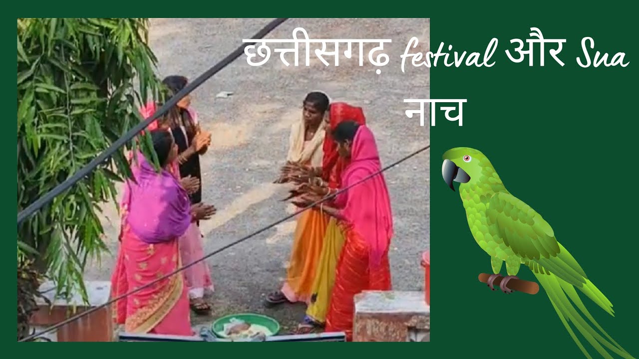 छत्तीसगढ़ festival |Sua naach |Cg festival and song sua naach|#cg# ...