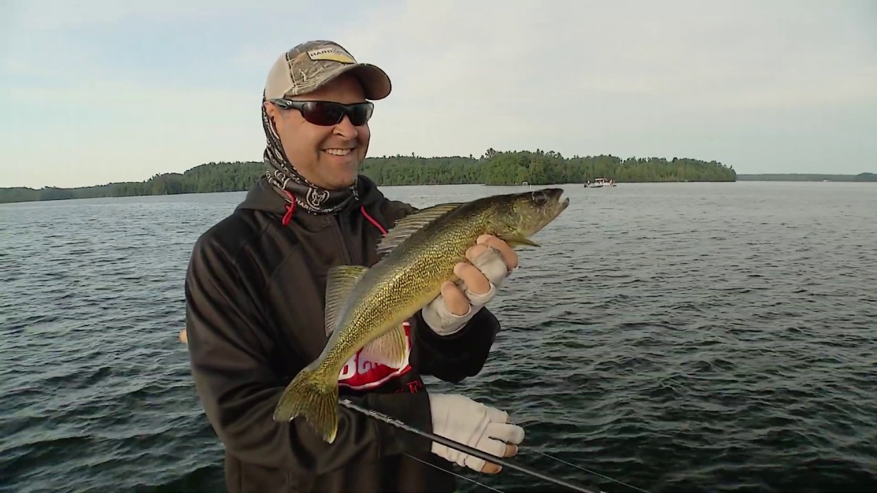Where to Target Walleyes with a Drop Shot and When. - YouTube