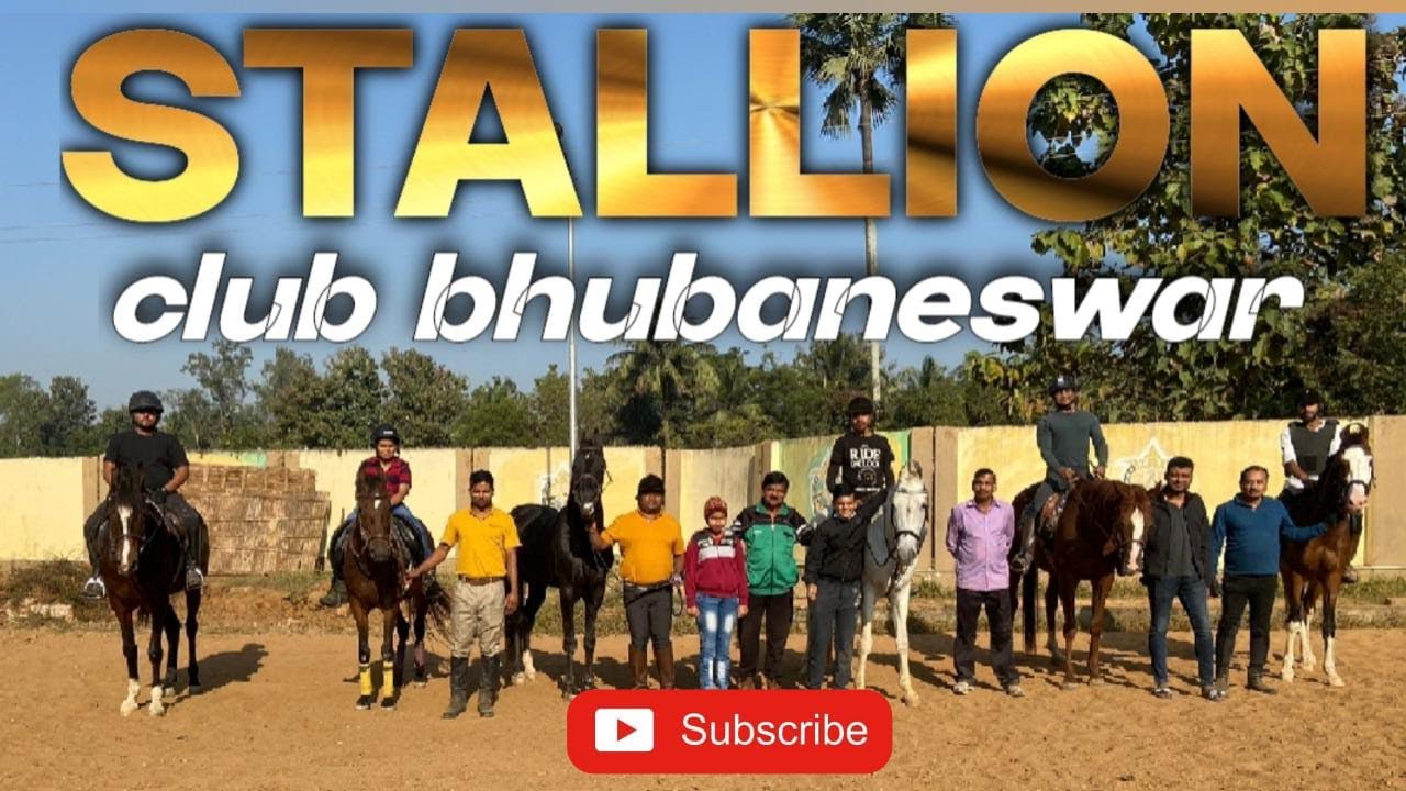 Stallion club Bhubaneswar | vlog 22 - YouTube