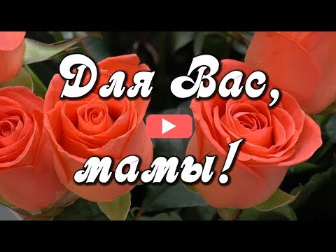 Весь Мир начинается с Мамы! Поздравление для мамы. Красивая музыкальная открытка.