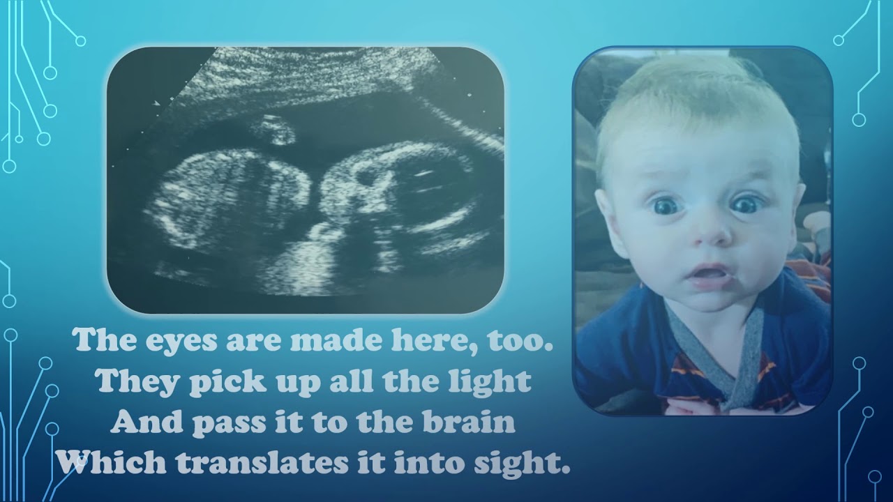 The Miracle of Birth - YouTube