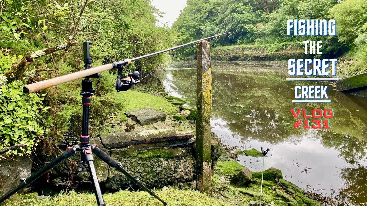 I Found A NEW Fishing Spot | River Plym Fishing Adventures | #Vlog131 ...