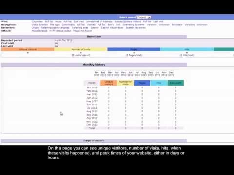 How to check web stats via Plesk 11