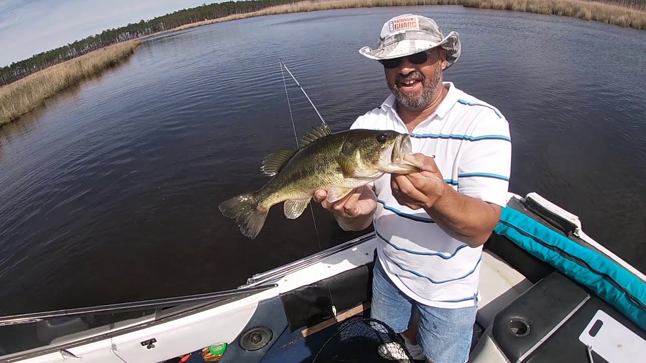 Using FRESH BAIT to catch Bass&Perch #hk2productions #fish #perch #NC # ...
