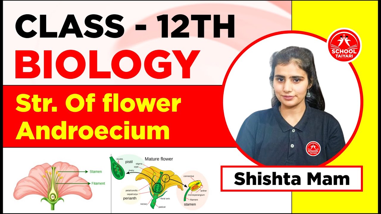 Structure of Flower Class 12 in Hindi | CBSE | NCERT | School Taiyari ...