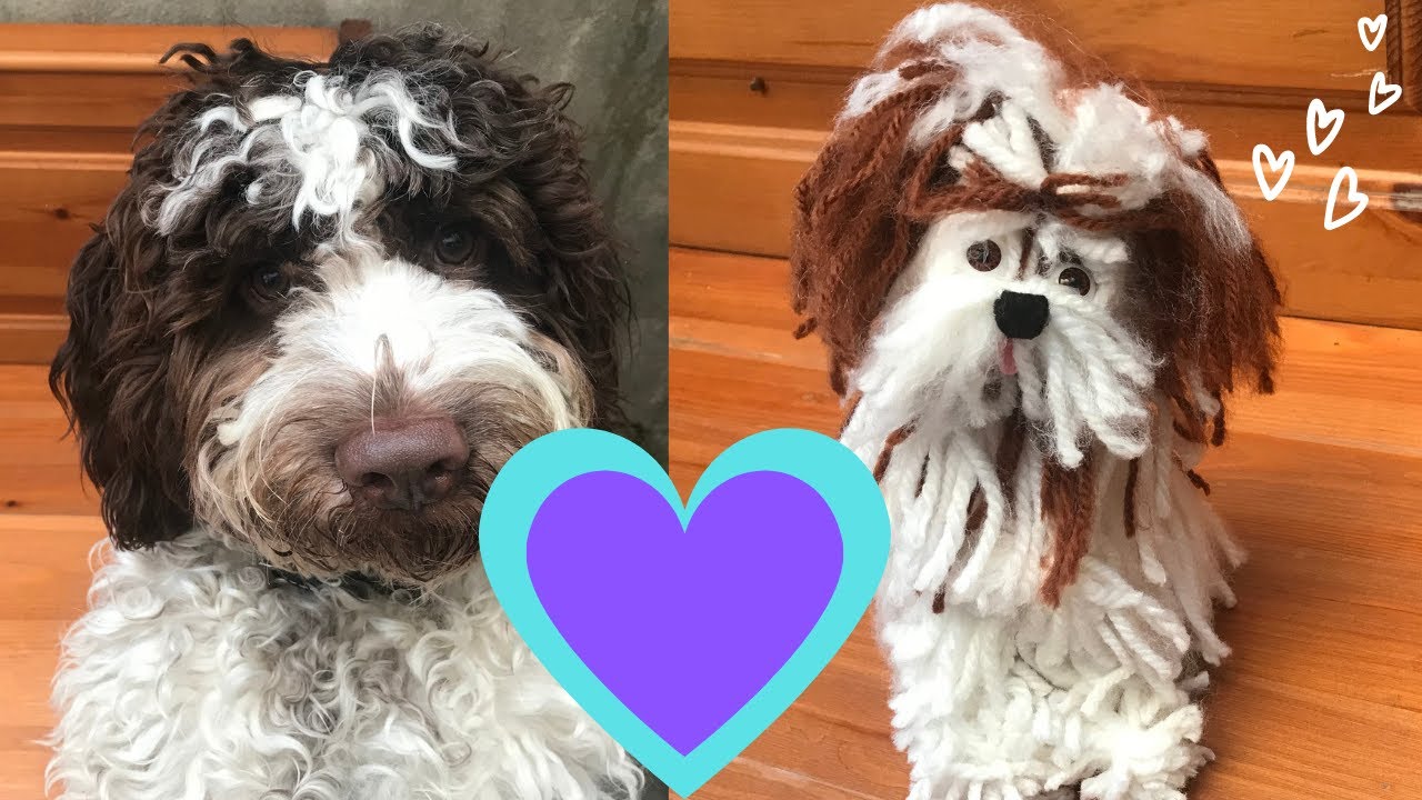 Come realizzare un pucciosissimo lagotto con filo di lana e - YouTube