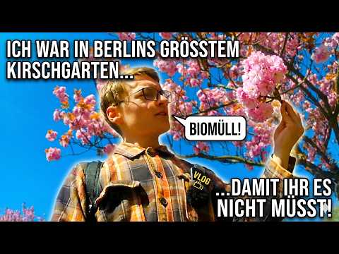 Rosa Einheitsbrei: Warum diese Kirschblütenallee eine ökologische Wüste ist!