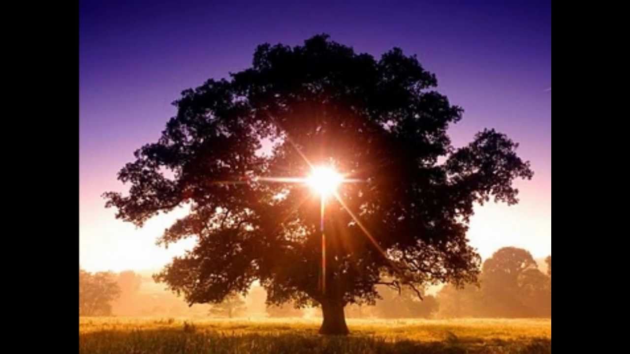 Pink Floyd Eclipse (with lyrics) - YouTube