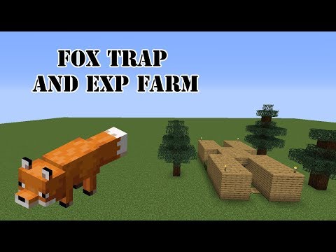 How to Make a Fox Trap and Exp Farm in Minecraft Village & Pillage PC ...