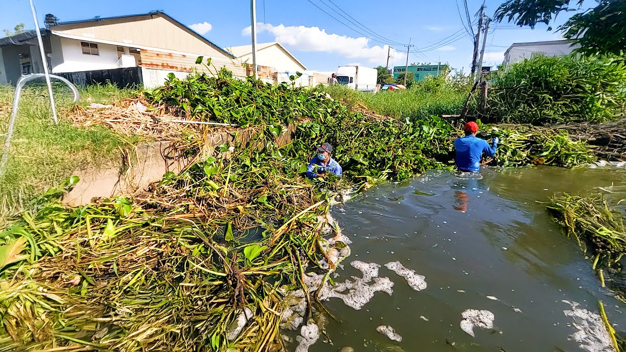 Extreme Drain Rescue Clearing a Culvert Overflow Full of Plants! - YouTube