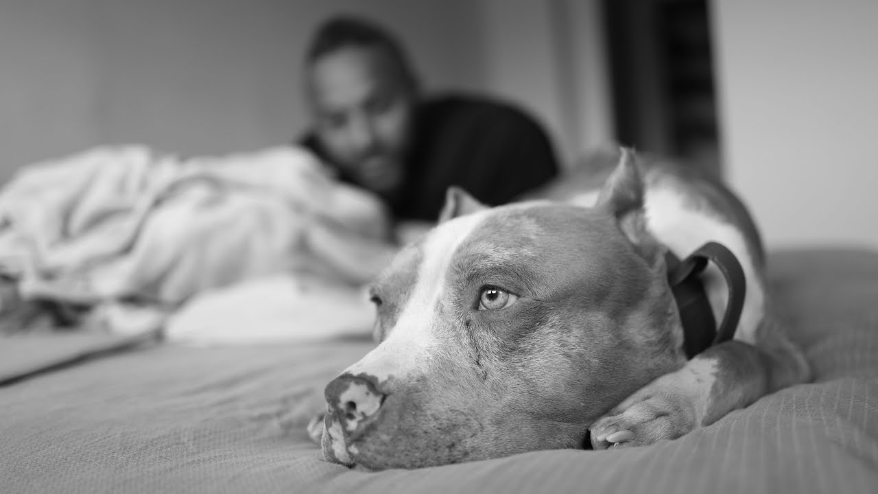 Ego Cancer Breakdown - YouTube