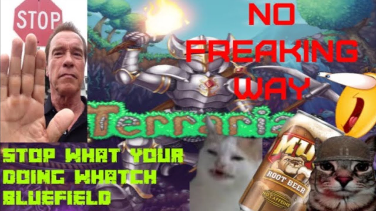 🔴 HAWK TUAH-RARIA!!! 🔴 Terraria Master Mode - YouTube