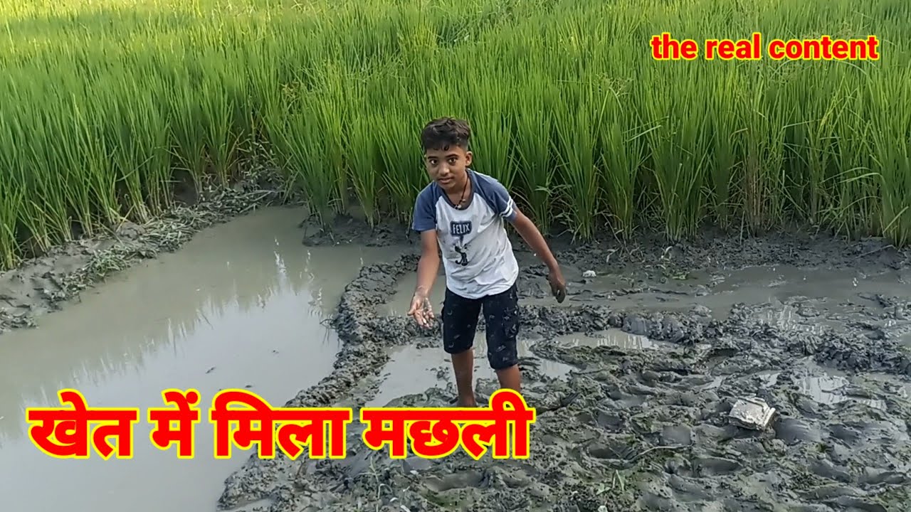 खेत में मिला मछली || khet me mila fish || the real content - YouTube