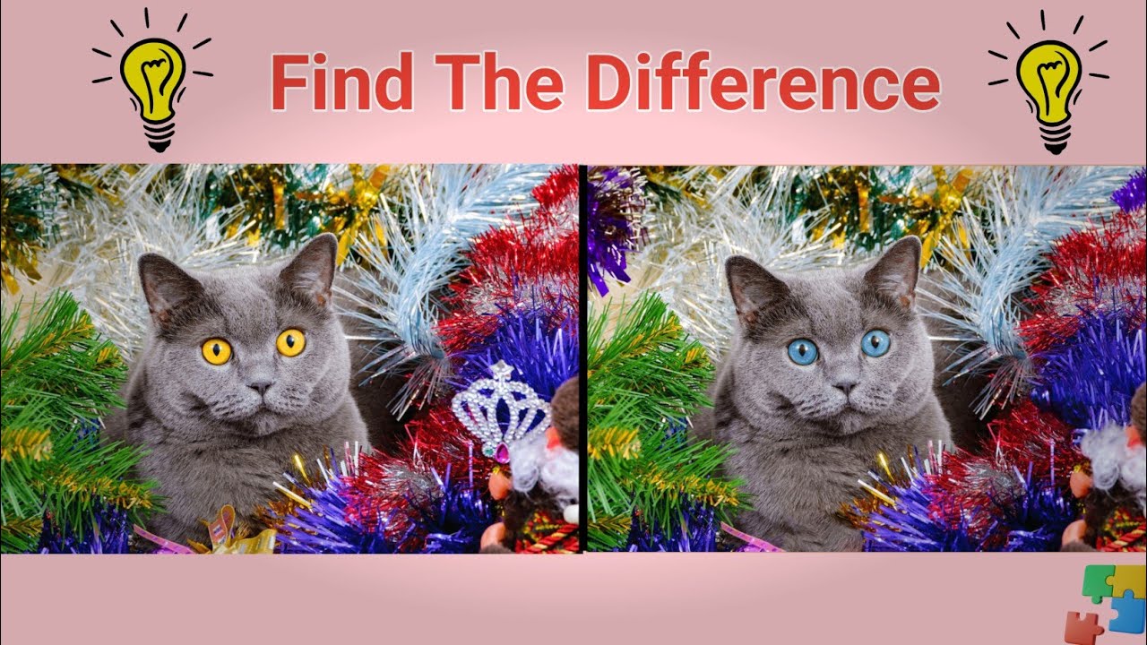 Find The Difference | Spot hidden objects | Spot The Difference 😍 - YouTube