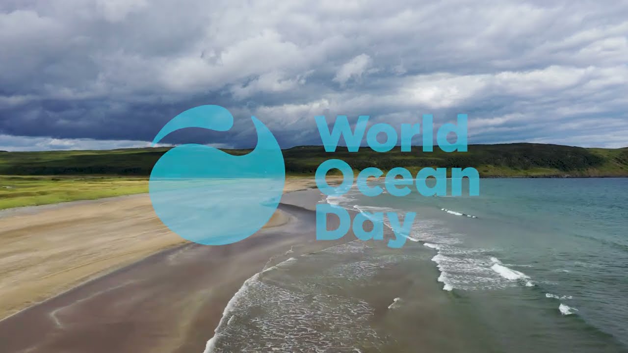 World Ocean Day 2022 - Newfoundland and Labrador - Drone - 4k - YouTube