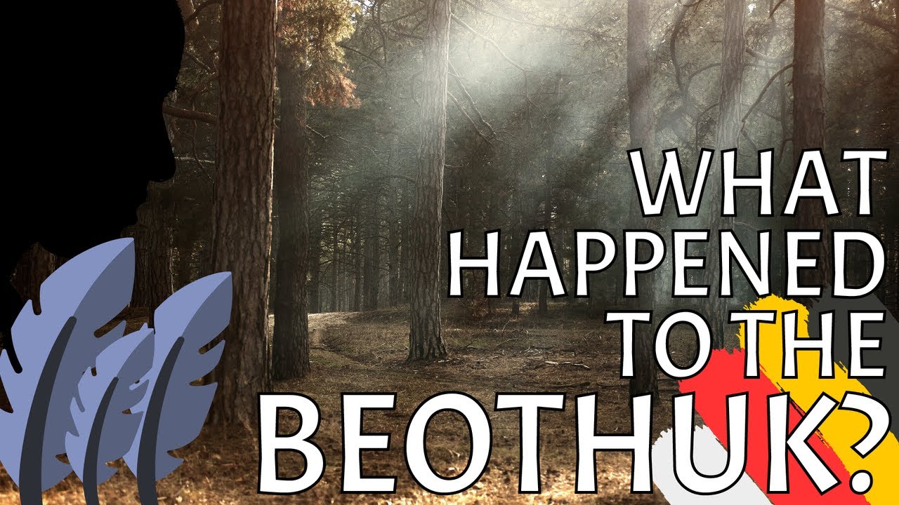 The Mysterious History of the Beothuk Indigenous Peoples in ...