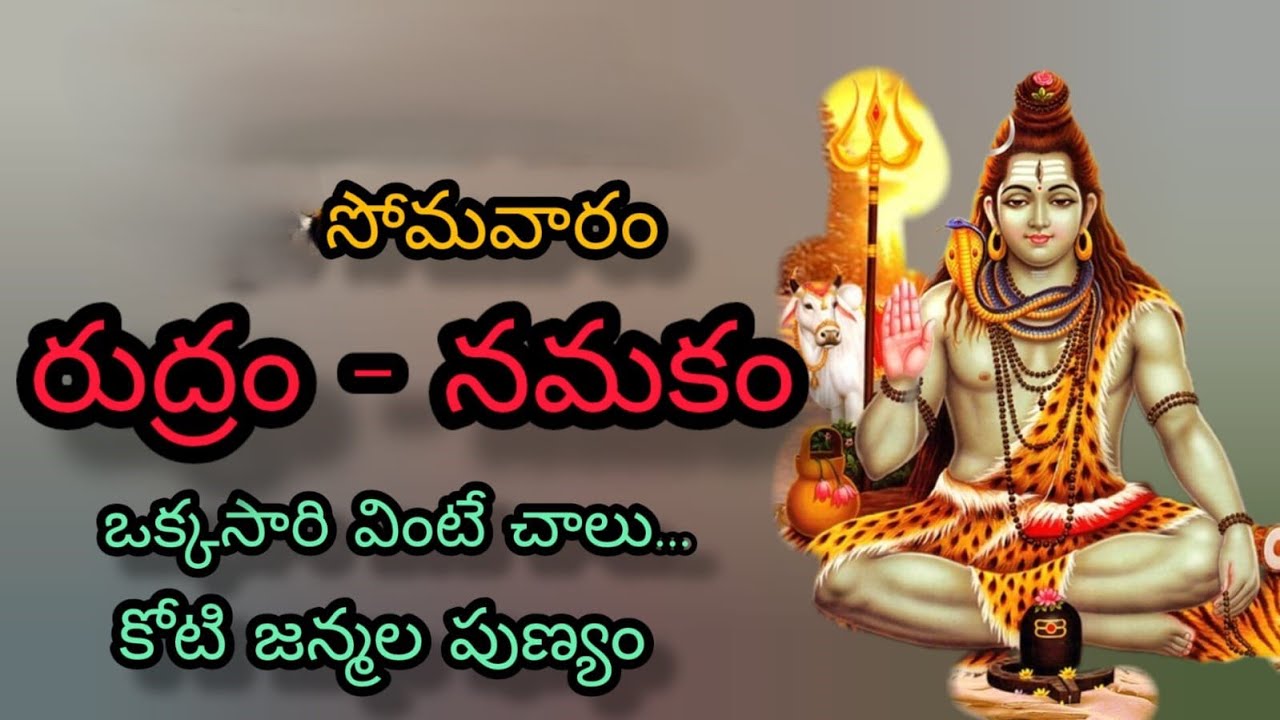 SRI RUDRAM || NAMAKAM || CHAMAKAM || శ్రీ రుద్రం నమకం చమకం - YouTube