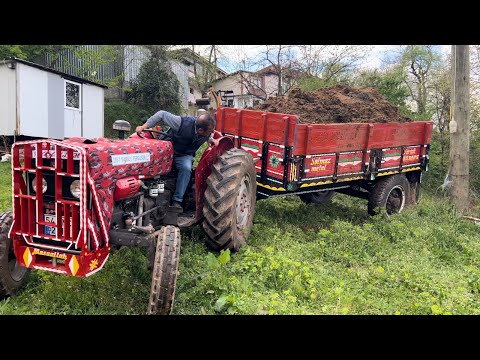 Islak zemin zor şartlar⚠️MasseyFerguson 255 Turbo Carter 2ton ekskavatör KURUDERE/KARASU