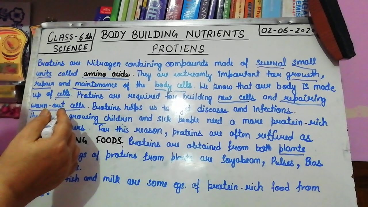 Body building nutrients (Proteins, Class - 6th) - YouTube