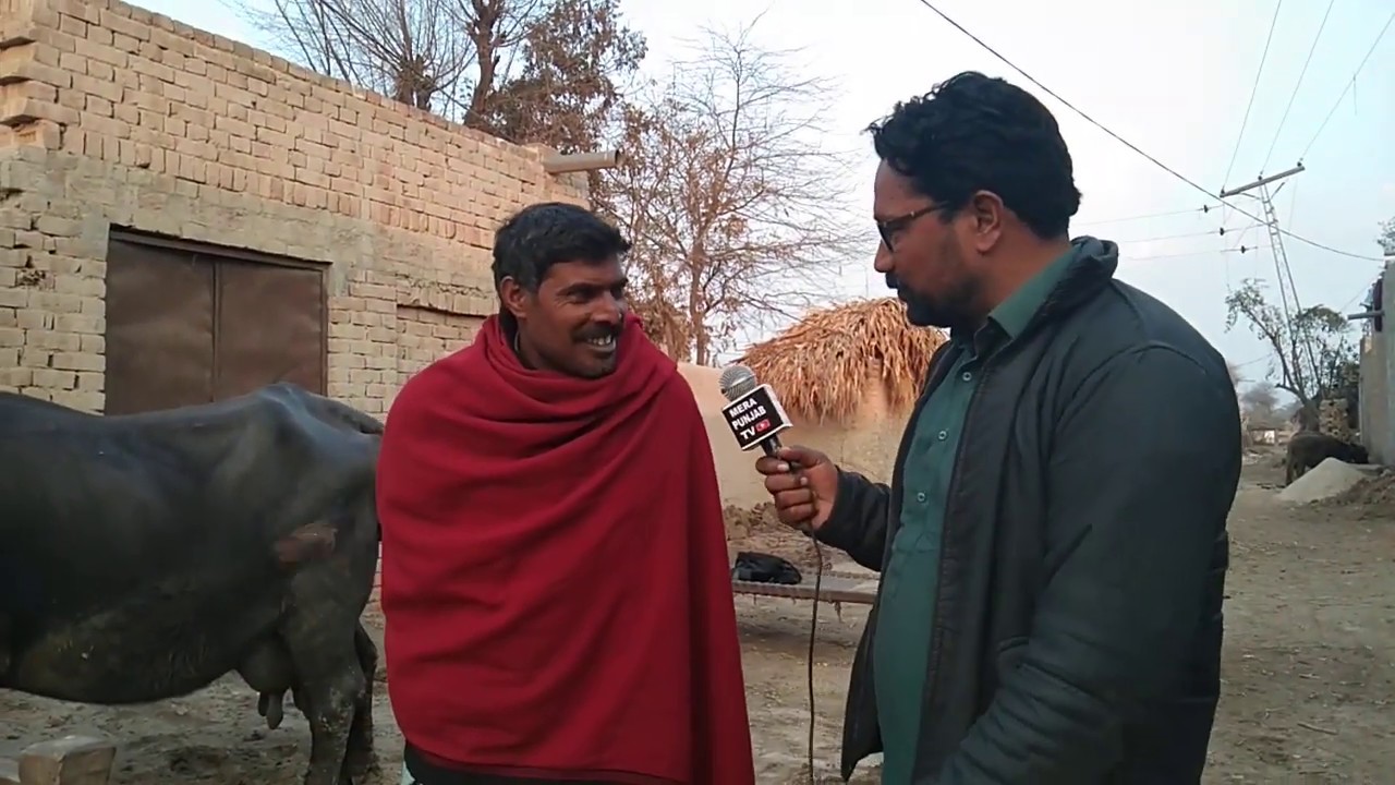 neeli ravi buffalow for sale in punjab pakistan on youtube 1_2_2020 ...