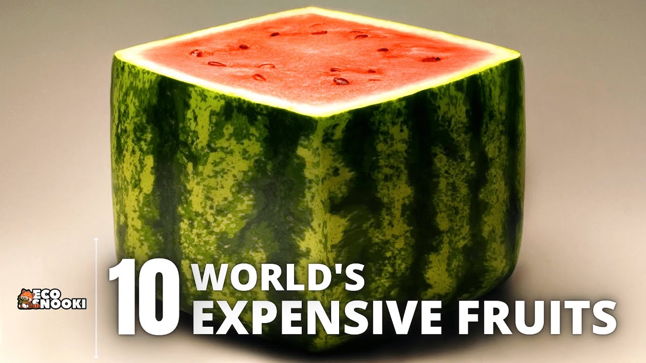 From 10 most expensive fruits in the world, 9 are from Japan !! - YouTube